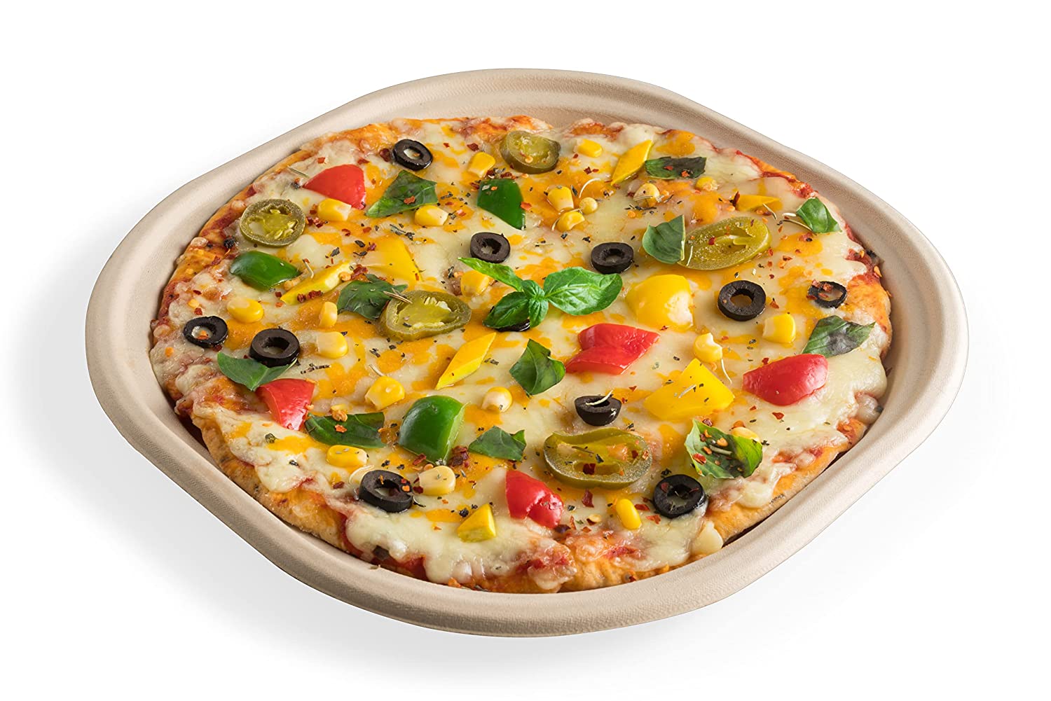 10" BIO PLATE (NATURAL) - Ambika Packaging