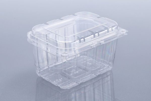 250 GMS PUNNET BOX - Ambika Packaging